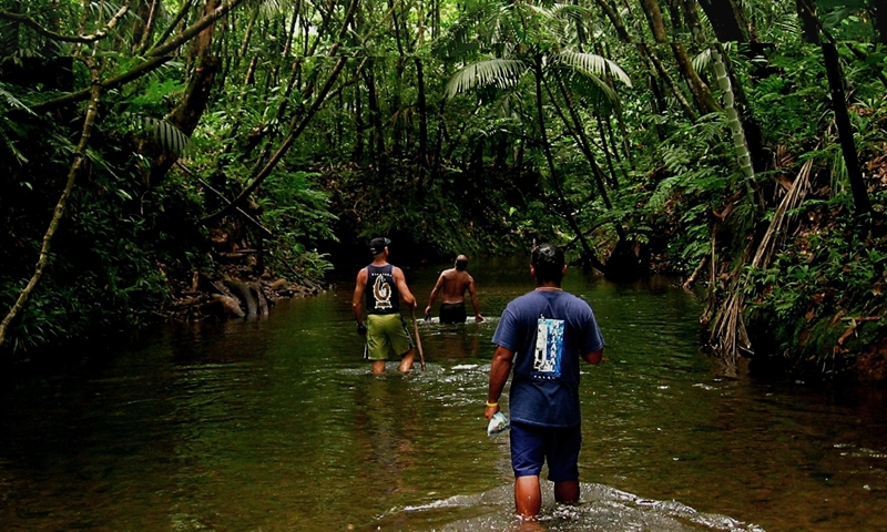 Amazon survival trips to Juma Reserve - USD 60 per person per day