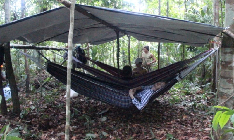 Amazon survival tours - USD 60 per person per day
